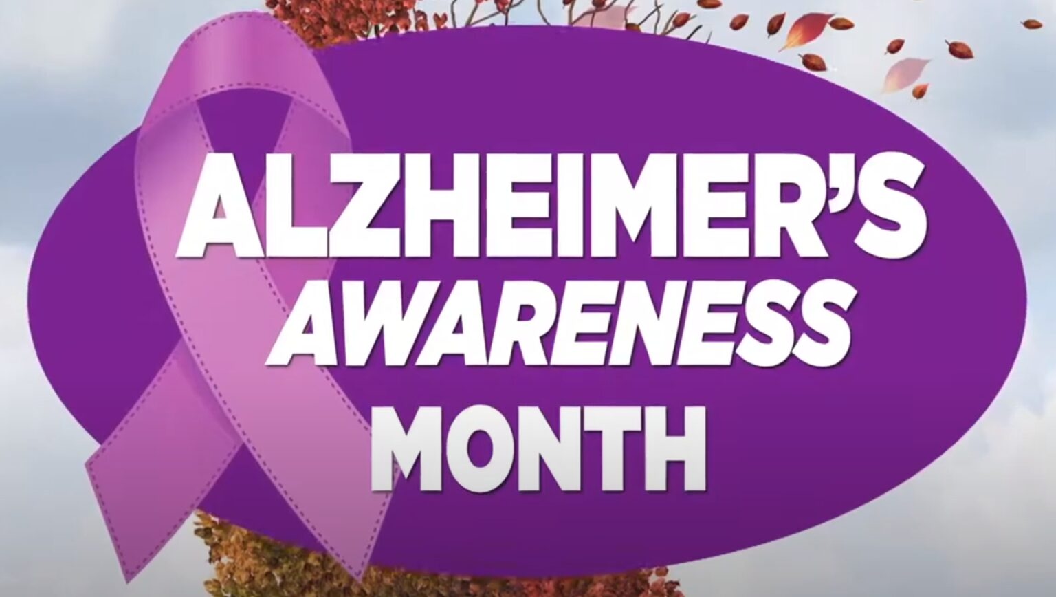 November is Alzheimer's Awareness Month