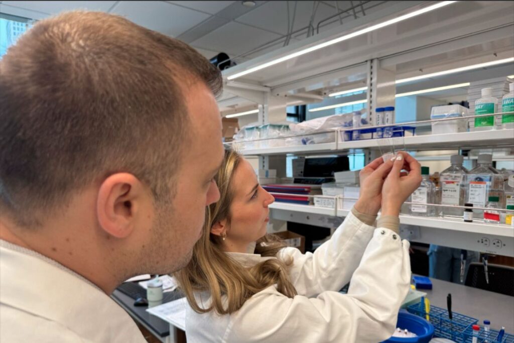 Can the New Alzheimer's Drugs Work Even Better?